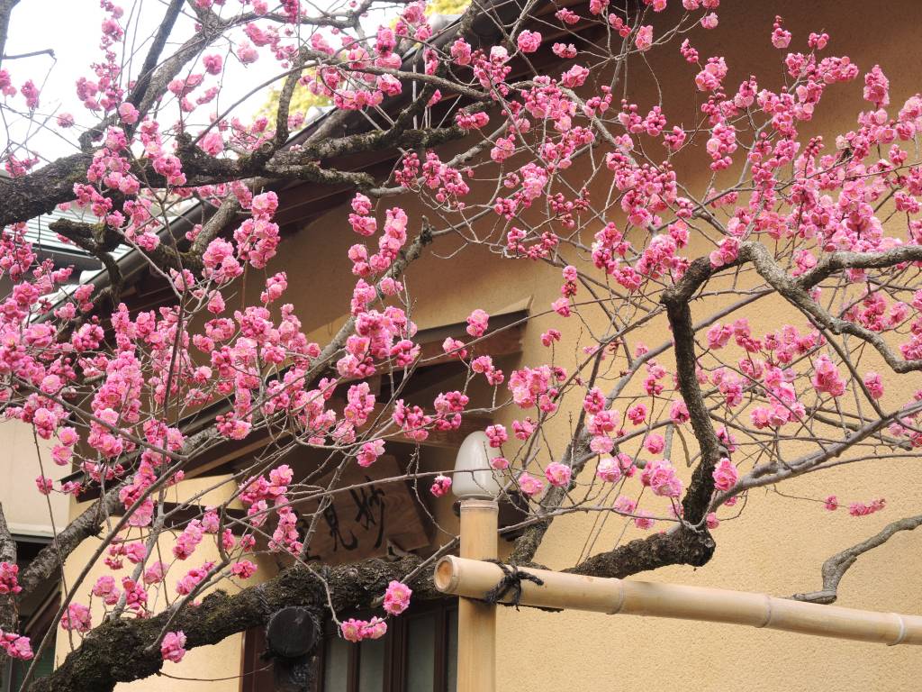 日蓮宗 加賀山乾性寺（けんしょうじ）